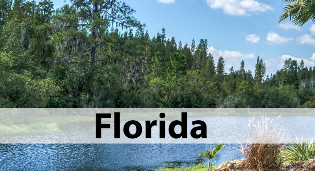 Pollution Enforcement - Public Employees for Environmental ...